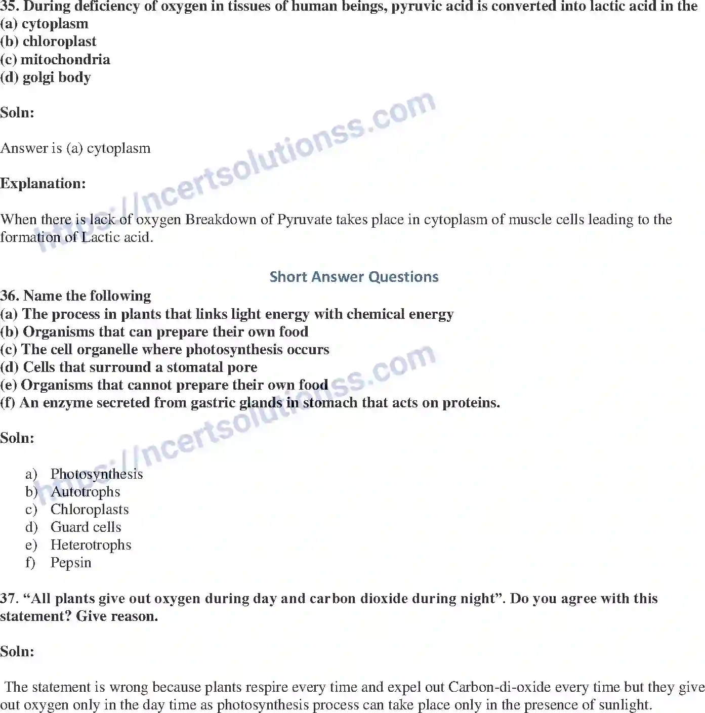 Class 10 Science Life Processes note