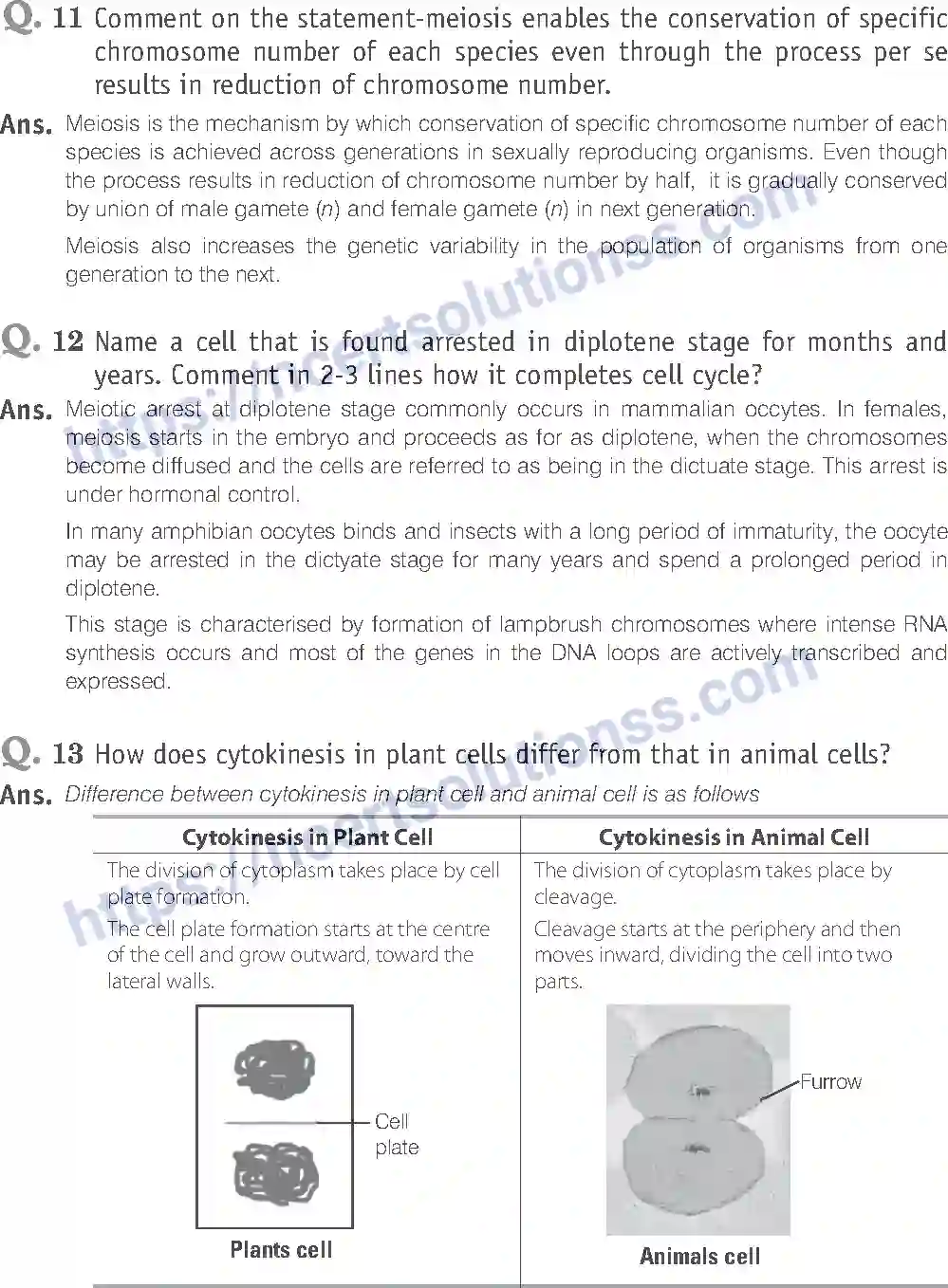 Class 11 Biology Cell Cycle and Cell Division note