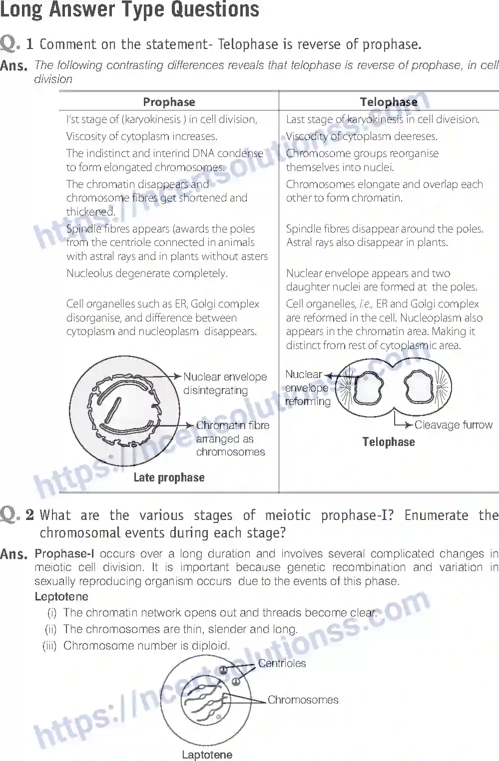 Class 11 Biology Cell Cycle and Cell Division note