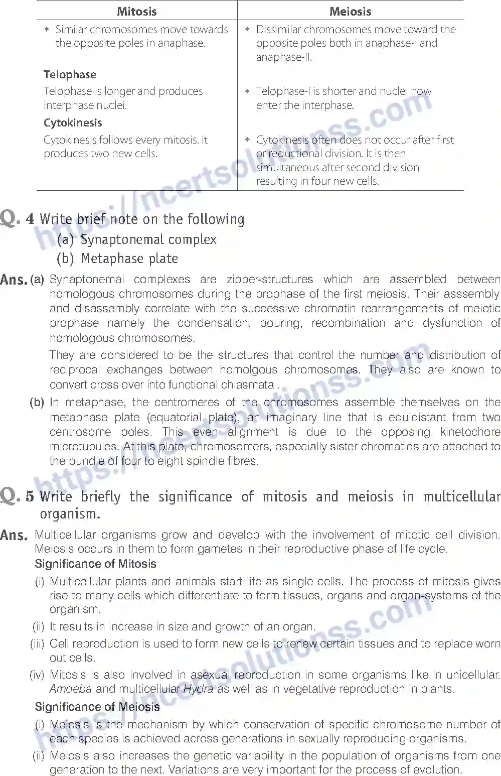 Class 11 Biology Cell Cycle and Cell Division note