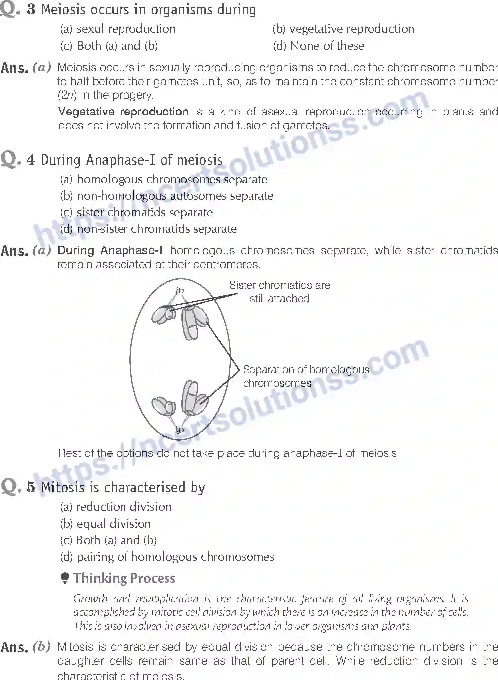 Class 11 Biology Cell Cycle and Cell Division note