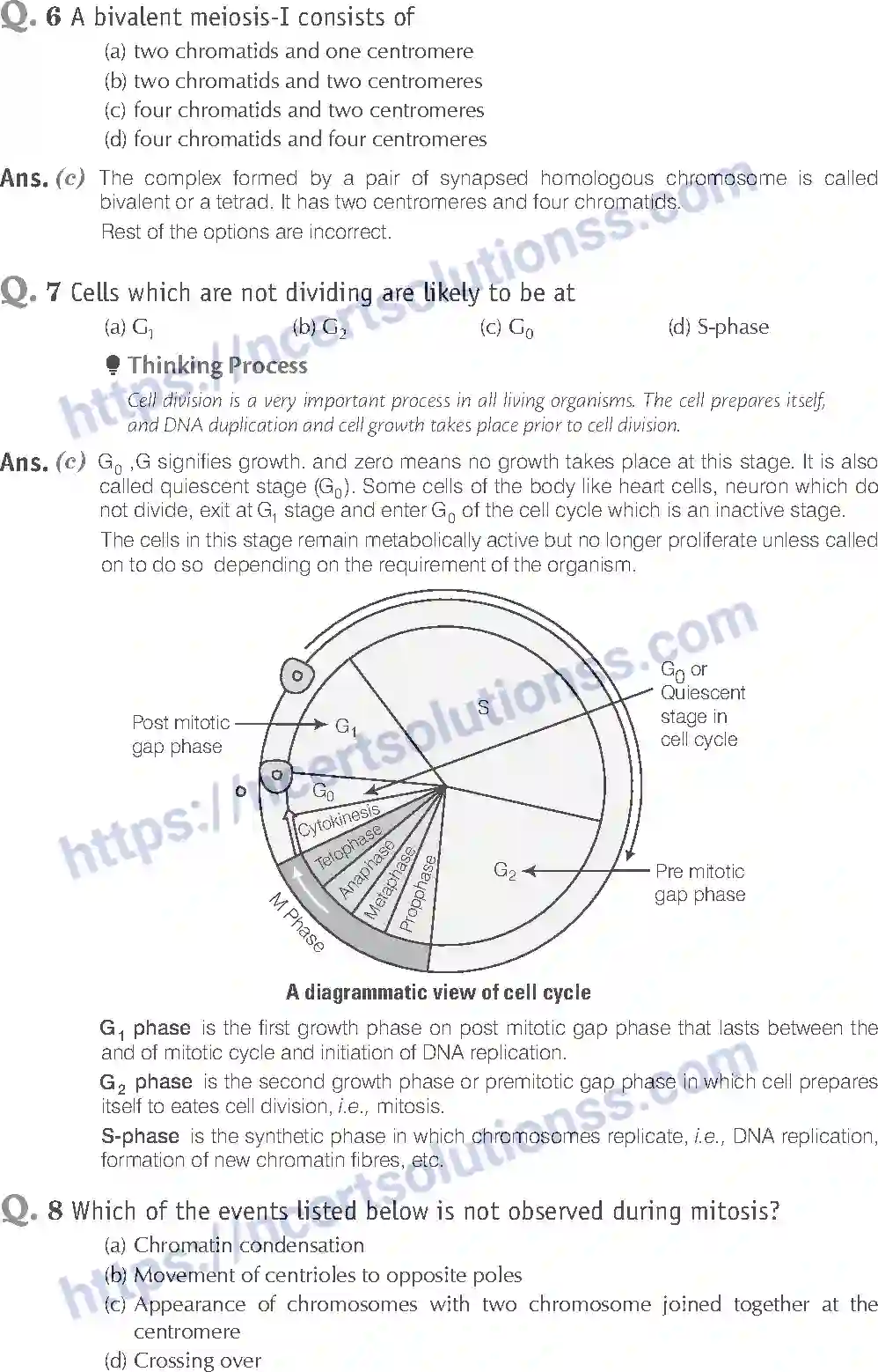 Class 11 Biology Cell Cycle and Cell Division note