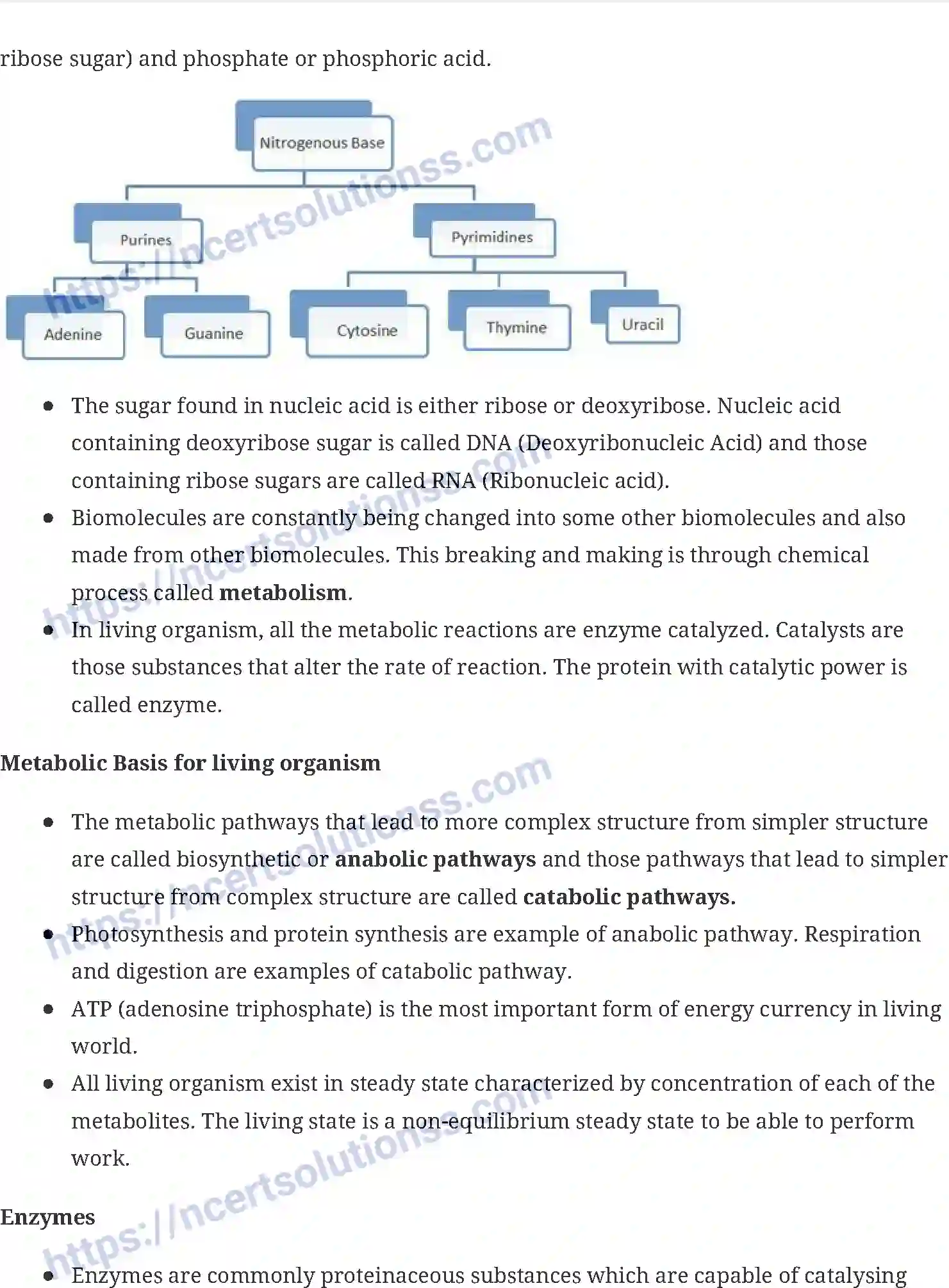 Class 11 Biology Biomolecule note